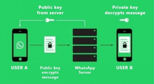 ¿Cómo usar WhatsApp Sniffer para espiar conversaciones? - Tecnoguia