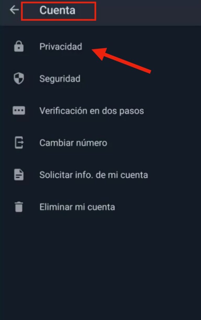 ¿Cómo activar/desactivar doble check azul de WhatsApp? - Tecnoguia