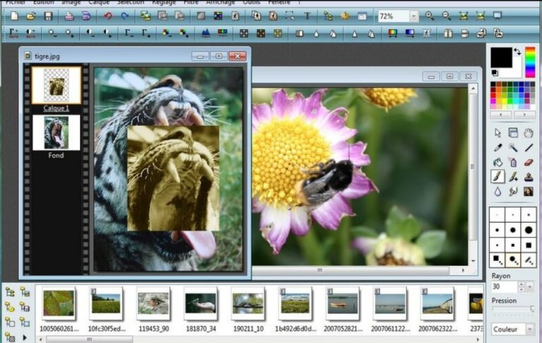 Mejores programas para ver fotos en Windows 11 - Tecnoguia