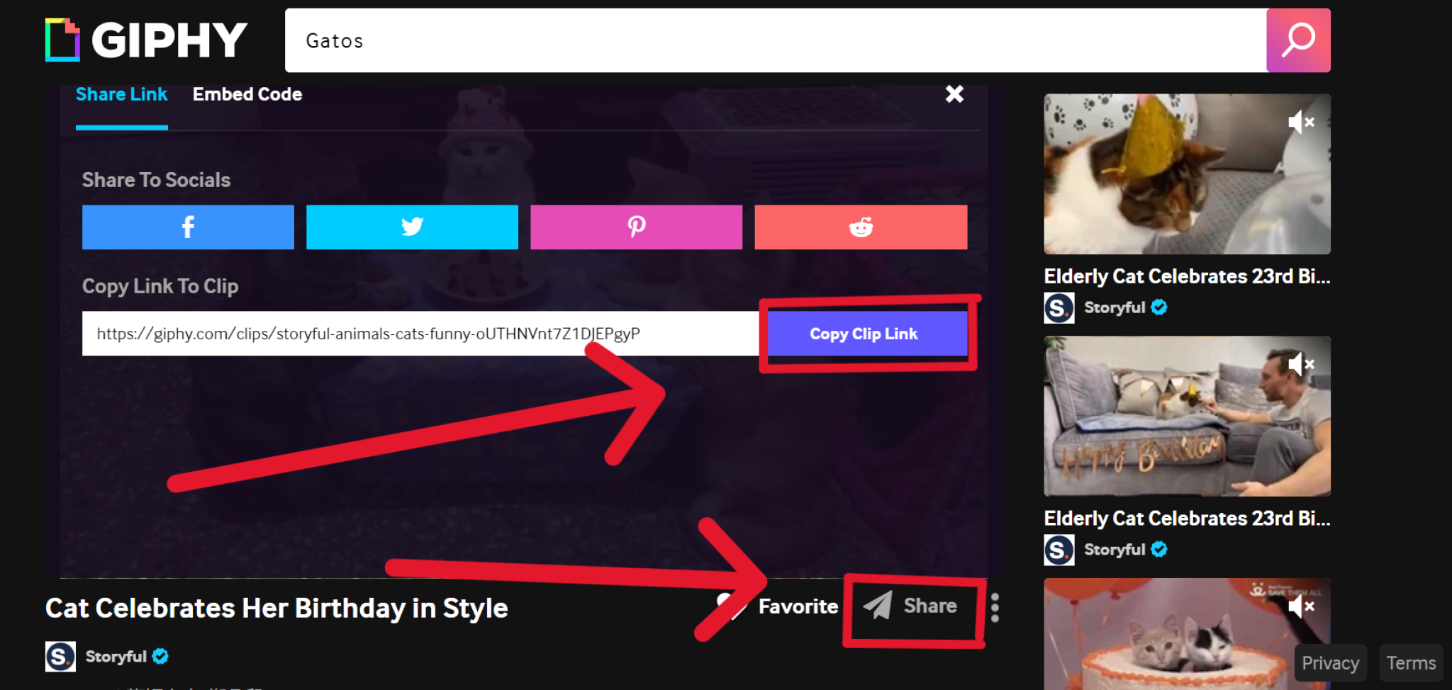 Aprende cómo subir un GIF a Instagram usando GIPHY - Tecnoguia