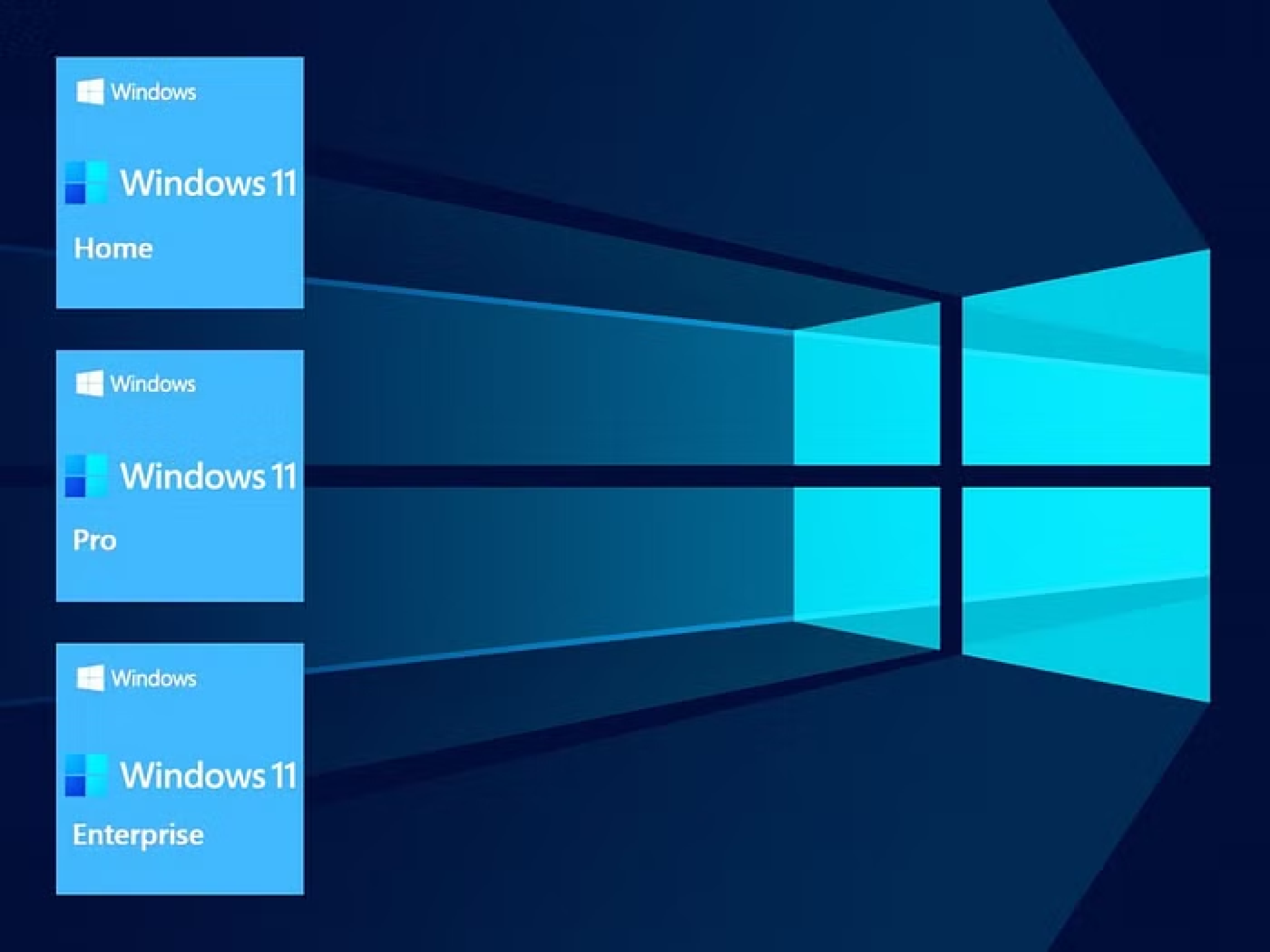 Descubre las diferencias entre Windows 11 Home, Pro, Enterprise y Edu ...
