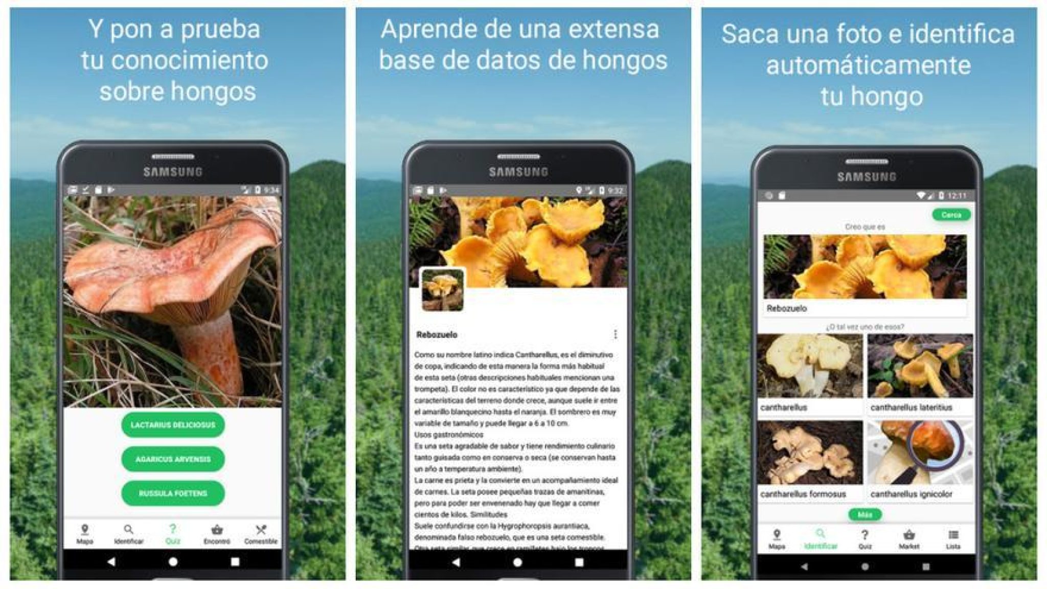 Mejores apps para ir a buscar setas e identificarlas - Tecnoguia