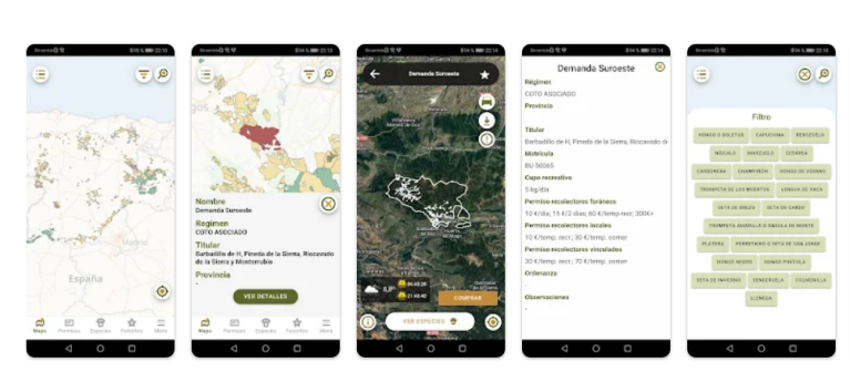 Mejores apps para ir a buscar setas e identificarlas - Tecnoguia